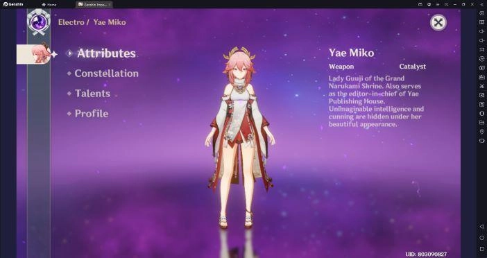 Genshin Impact Elements Guide - Electro